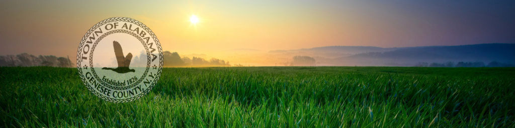 Directory – Town of Alabama